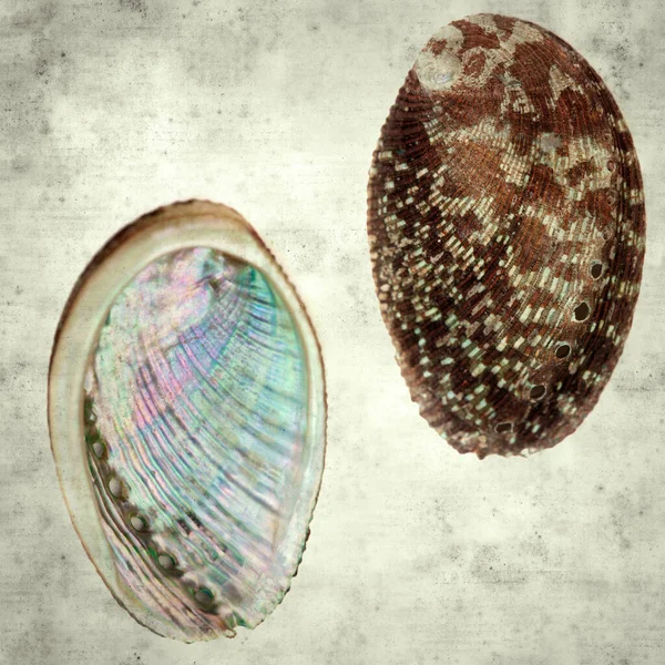 Abalone shell texture Stock Photos, Royalty Free Abalone shell texture ...