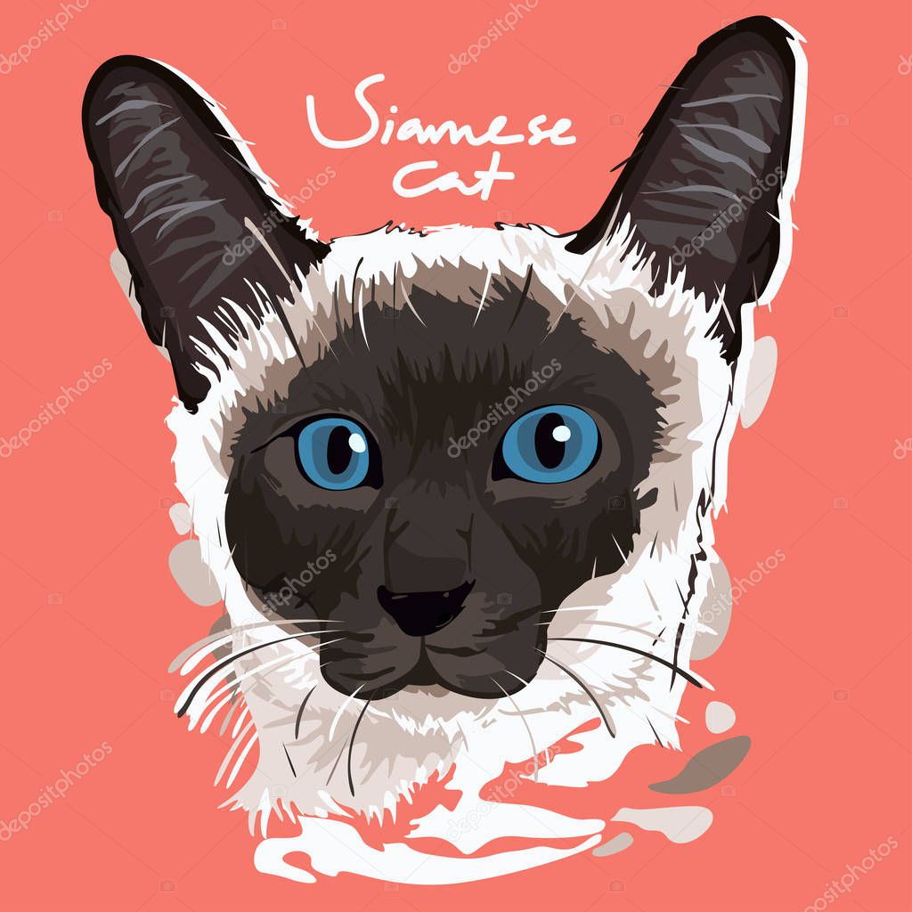 Siamese Cat Painting Poster — Stock Vector © artisticco #129723574 Siamese Cat Painting Poster — Stock Vector © artisticco #129723574