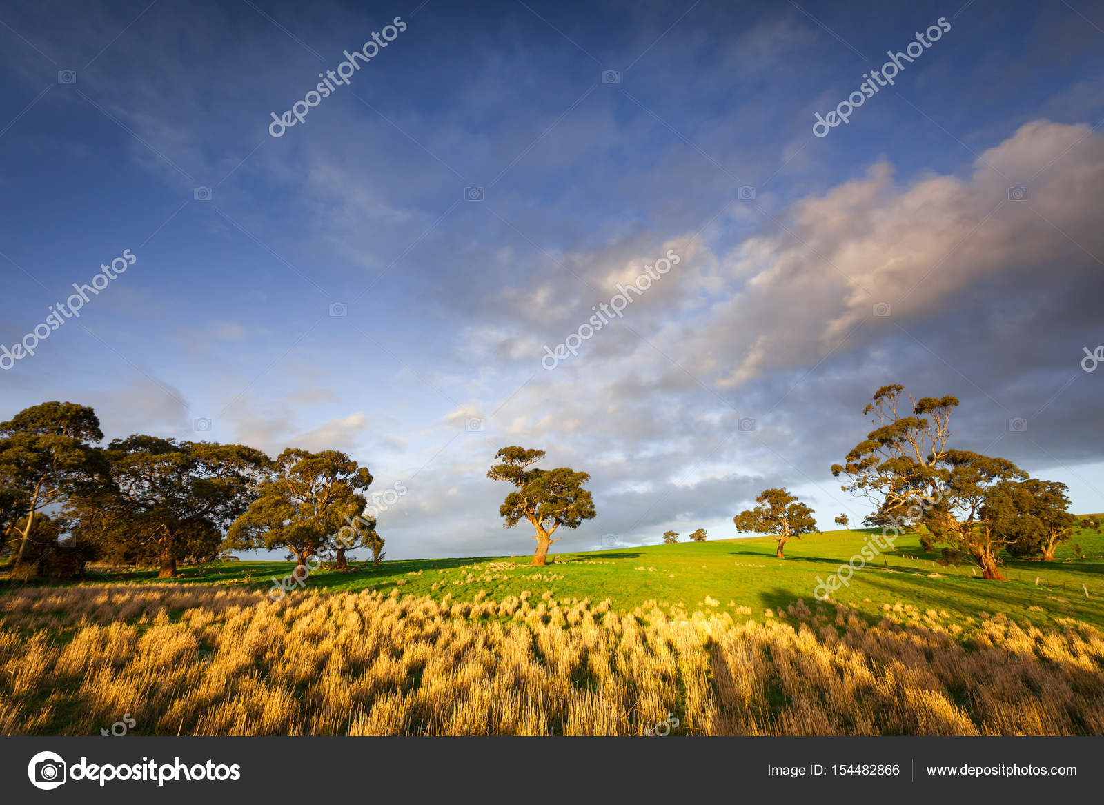 Clare Valley Light Stock Photo by ©kwest 154482866