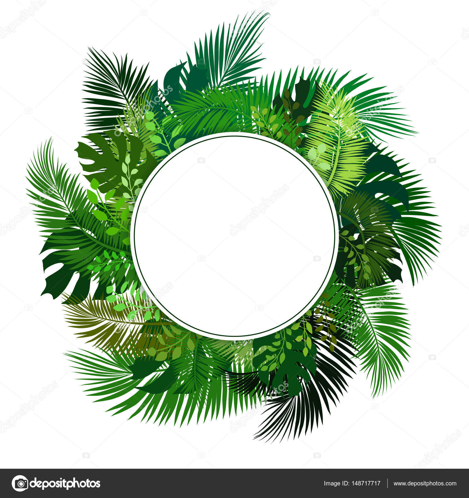 Circle with tropical leaves ⬇ Vector Image by © Vasilixa | Vector Stock ...