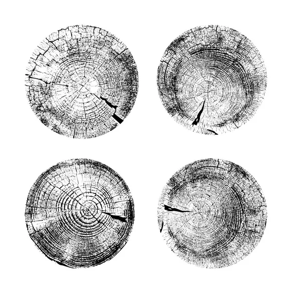 Tree ring logo Vector Art Stock Images | Depositphotos