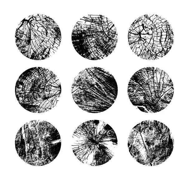 Tree ring logo Vector Art Stock Images | Depositphotos