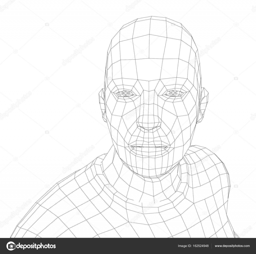Wire frame mans head Stock Vector Image by ©cherezoff #162524948