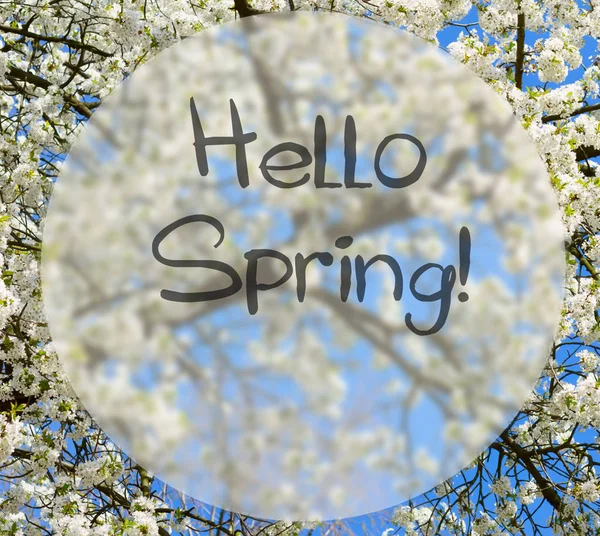 Happy friday spring Stock Photos, Royalty Free Happy friday spring ...