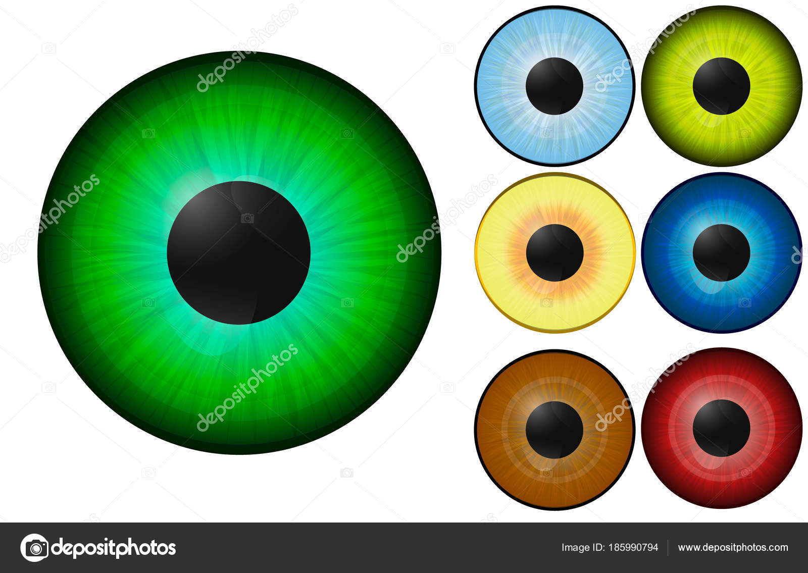 Realistic Human Eye Performance Vector Graphics Eps Set Colored Human ...