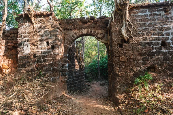 Redi fort Stock Photos, Royalty Free Redi fort Images | Depositphotos