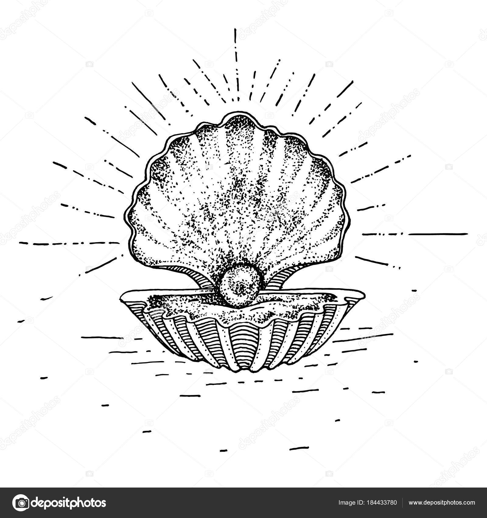 Clam Shell Outline Tattoo