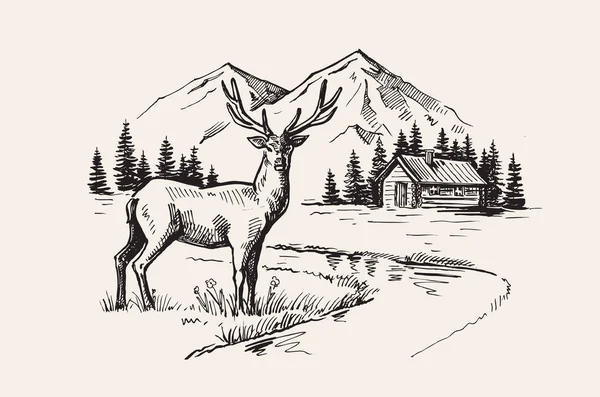 Szarvas rajz Stock vektorok | Depositphotos
