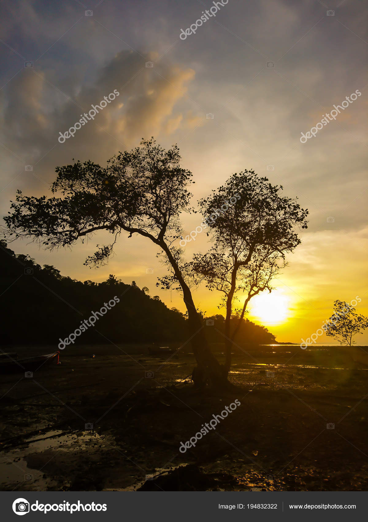 Tree Sunset Koh Bulone Beach Satun Thailand — Stock Photo © nbriam ...