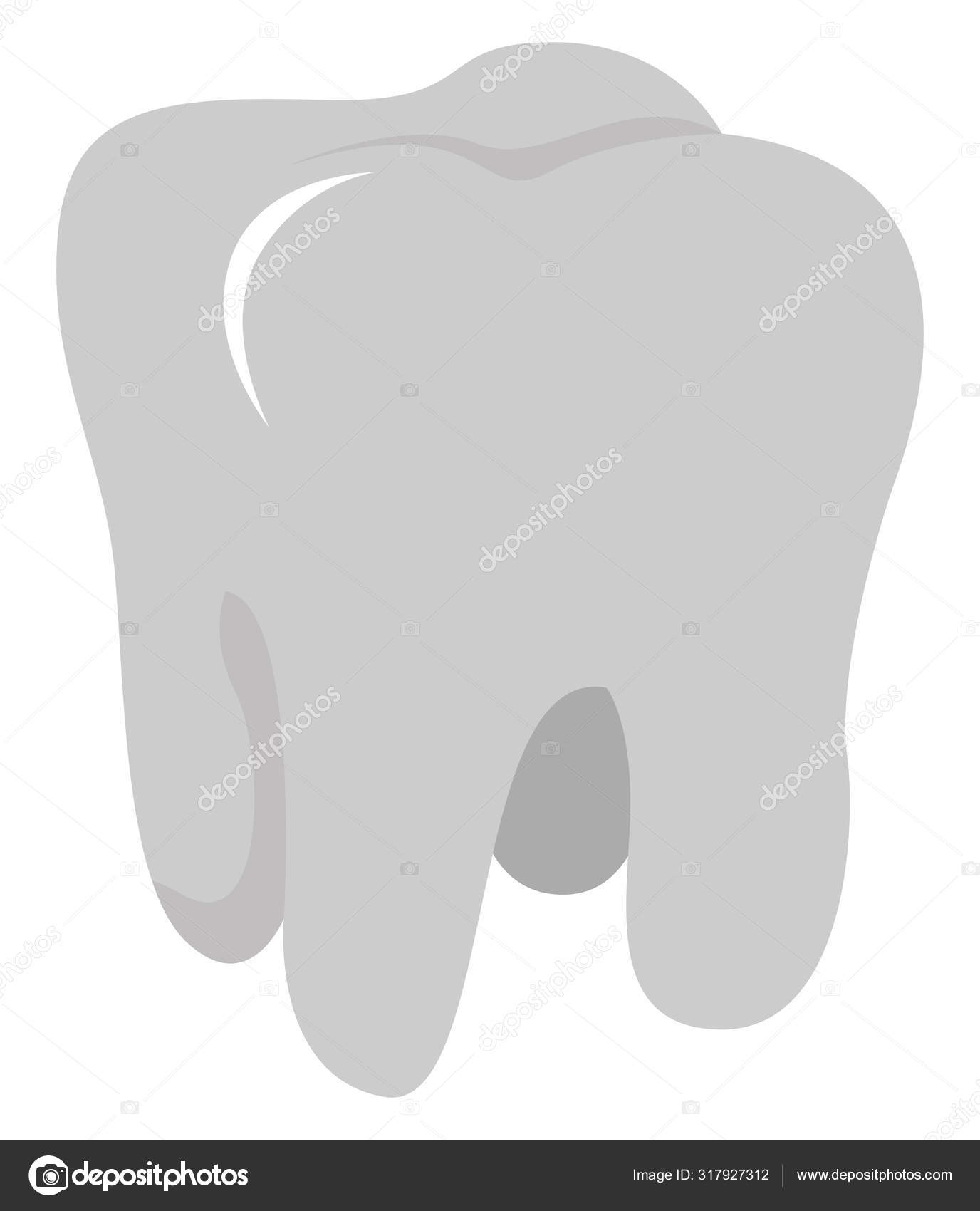Molar tooth, illustration, vector on white background. Stock Vector by ...