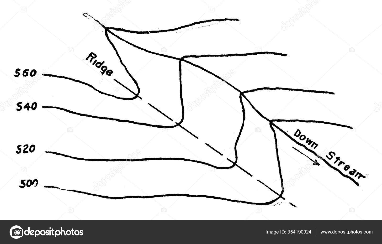 Contour Lines Lines Map Joining Points Equal Height Sea Level Stock Vector by ©Morphart 354190924