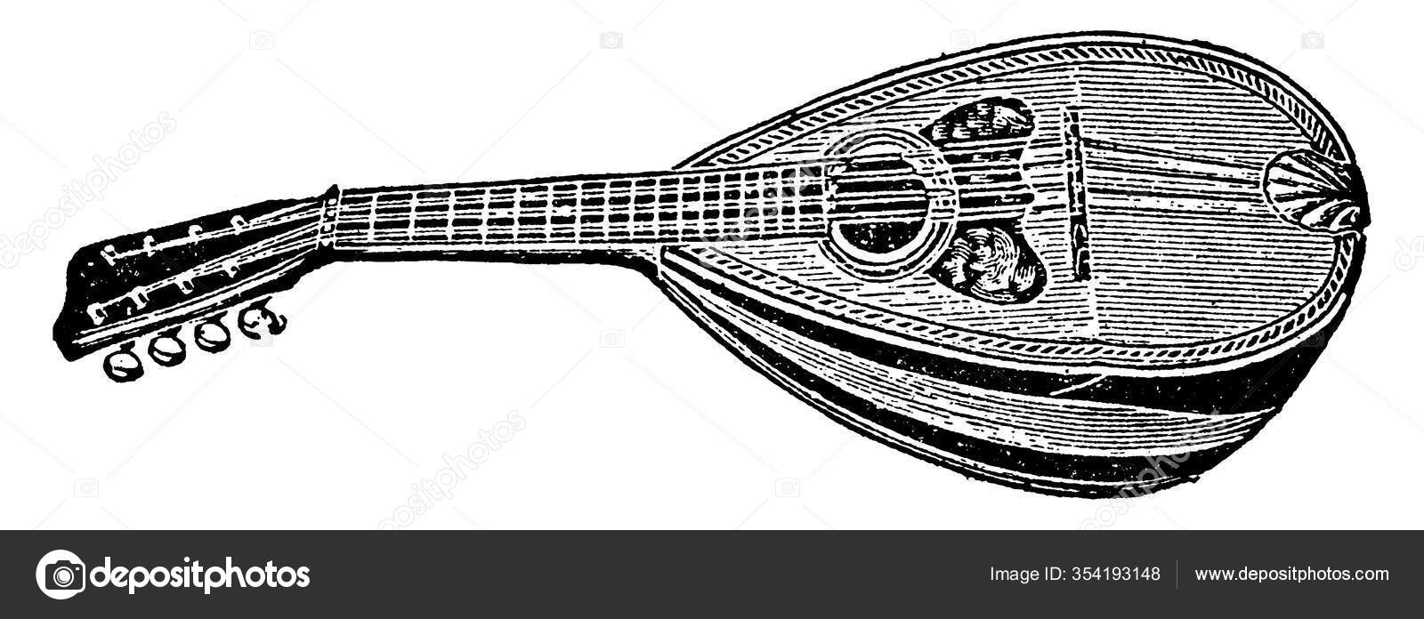 Mandolin Drawing