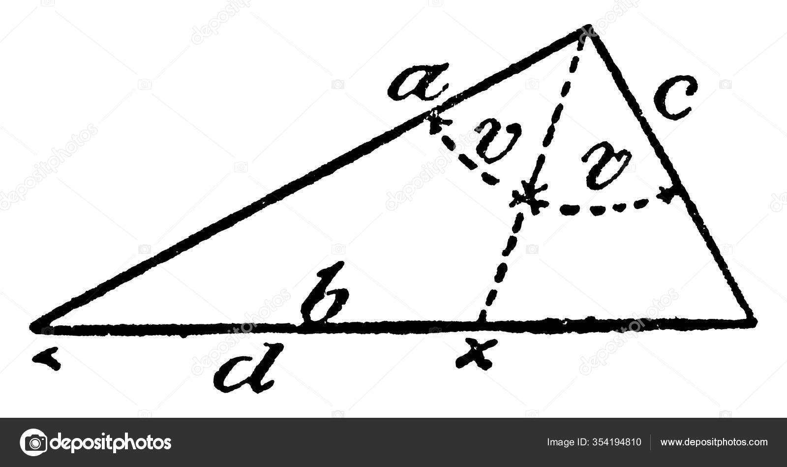Shows Model Geometric Proportions Triangle — Stock Vector © Morphart ...