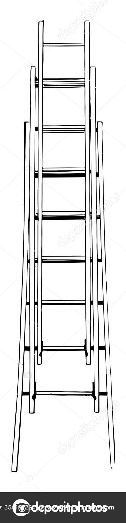 Illustration Represents Function Extension Ladders Vintage Line Drawing ...