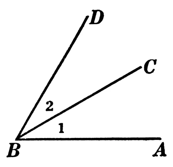 Diagram Which Two Angles Shown Which Parallel Sides Vintage Line Stock ...