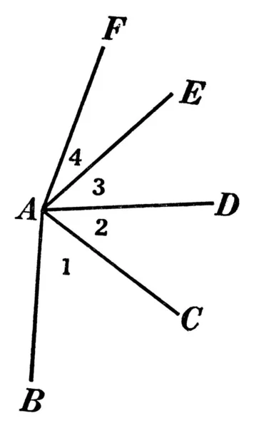 Adjacent angles Vector Art Stock Images | Depositphotos