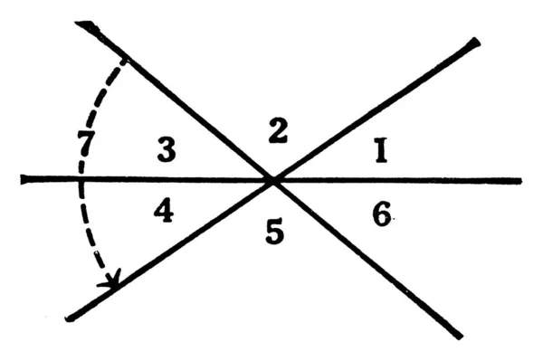 Adjacent angles Vector Art Stock Images | Depositphotos