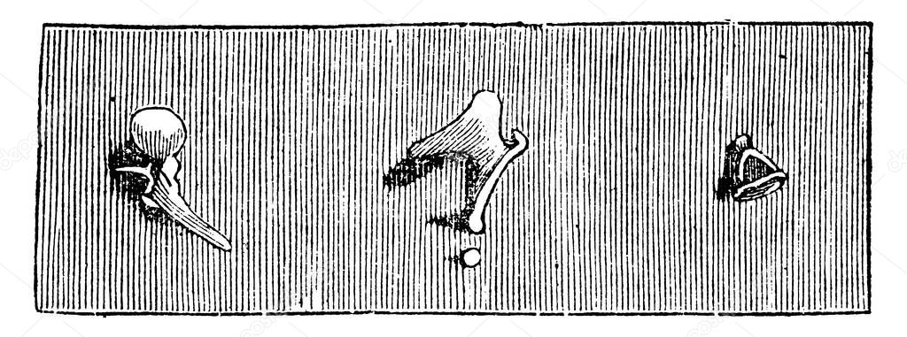 Timpano Vector Art Stock Images | Depositphotos