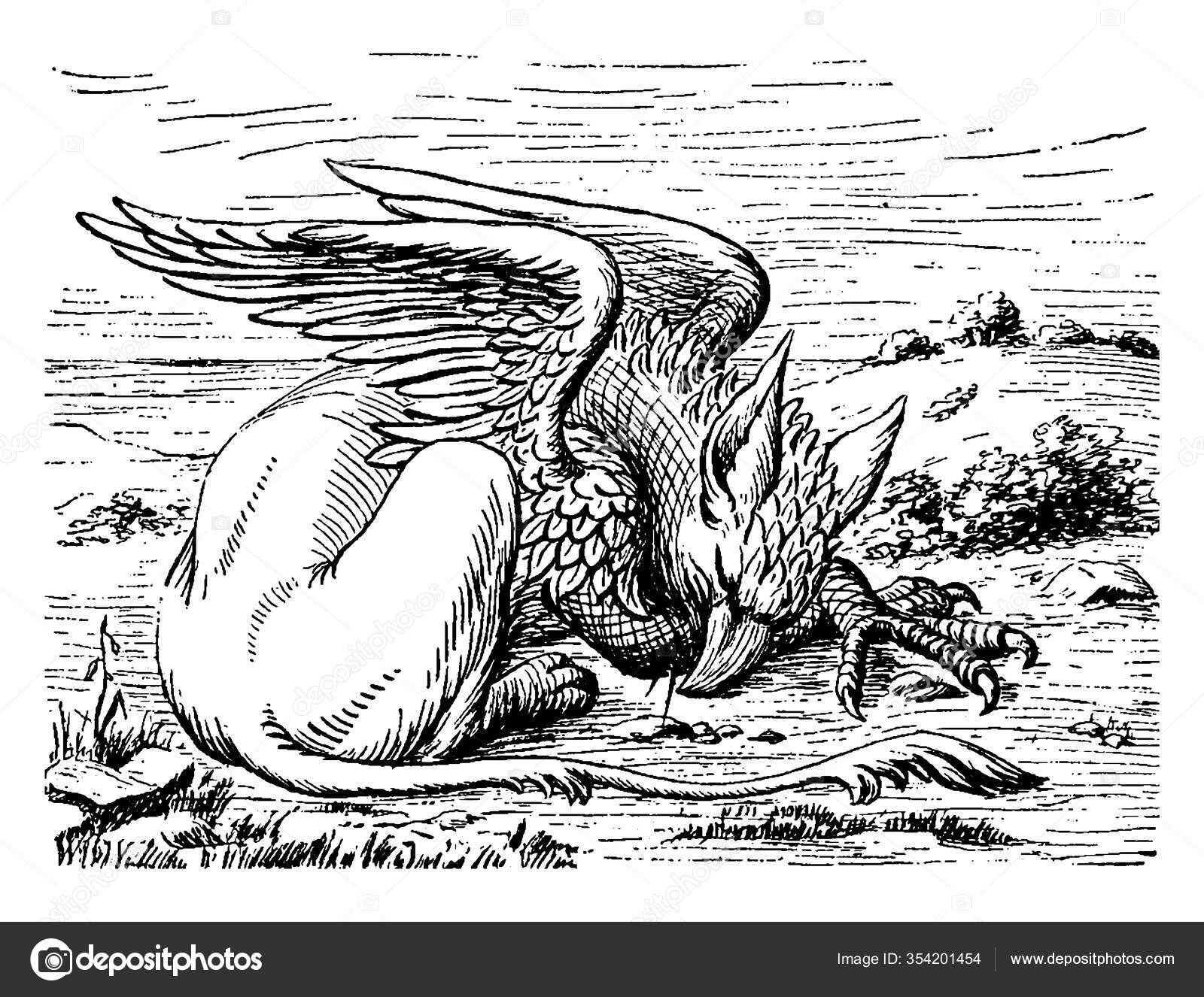 Mock Turtle Picture Shows Bird Head Cow Body Vintage Line Stock Vector ...