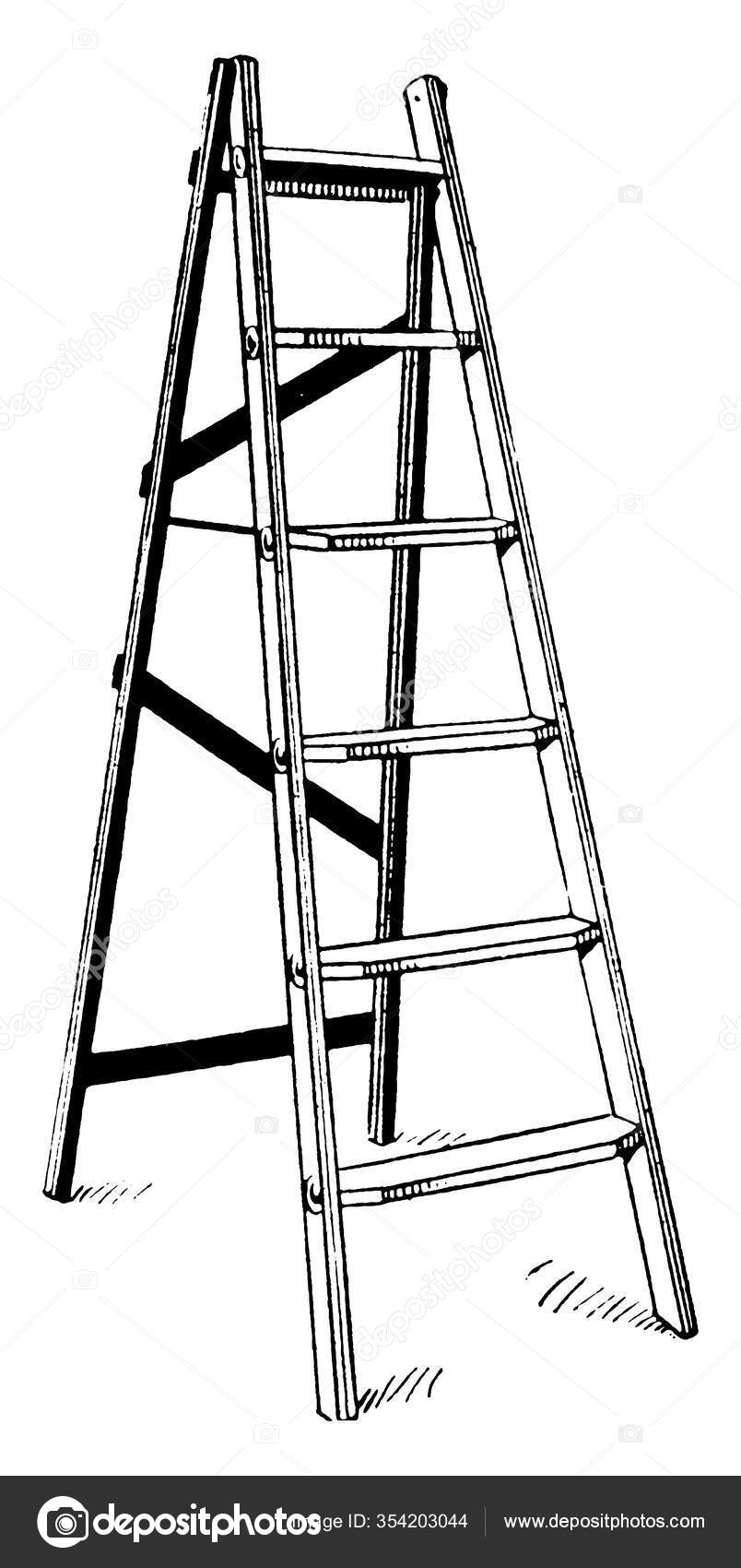 Illustration Represents Step Ladder Sizes Step Ladders Feet Long ...