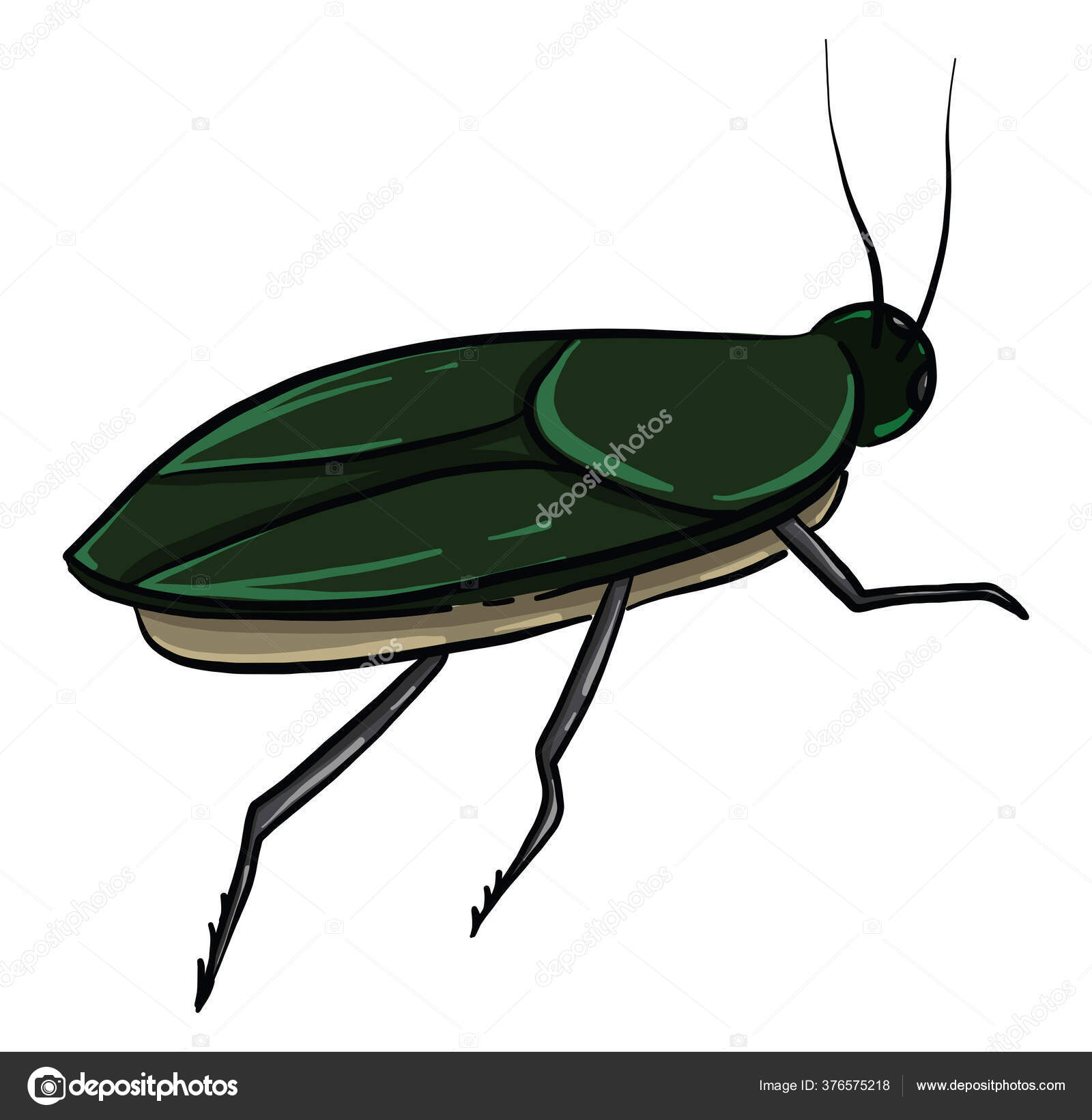 Cucaracha Verde Ilustración Vector Sobre Fondo Blanco Vector de stock ...