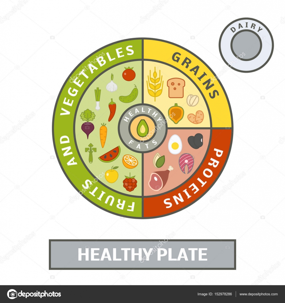 Illustration of balanced meal Stock Vector Image by ©marina_ua #152978286