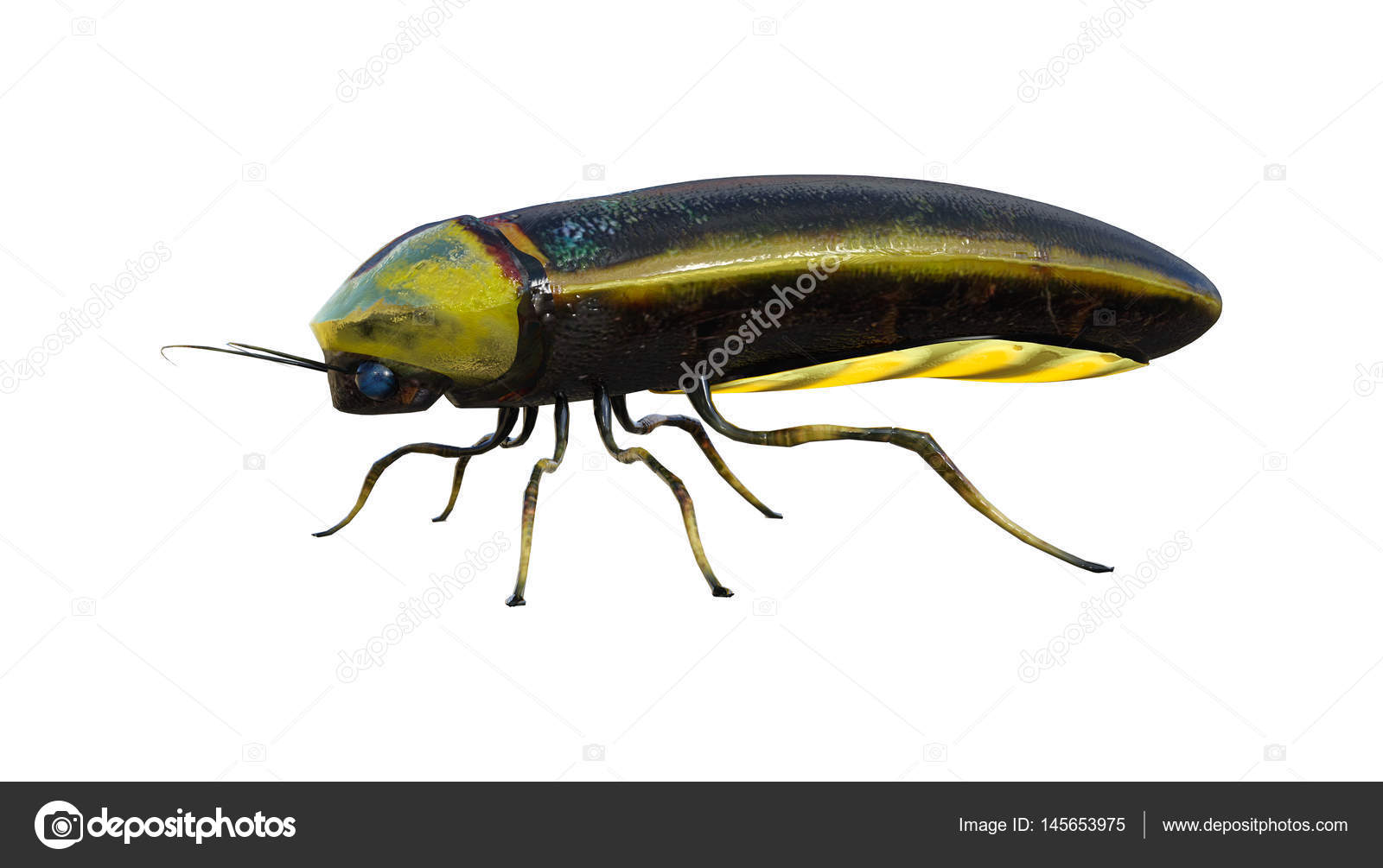 3D Rendering Lightning Bug on White Stock Photo by ©PhotosVac 145653975