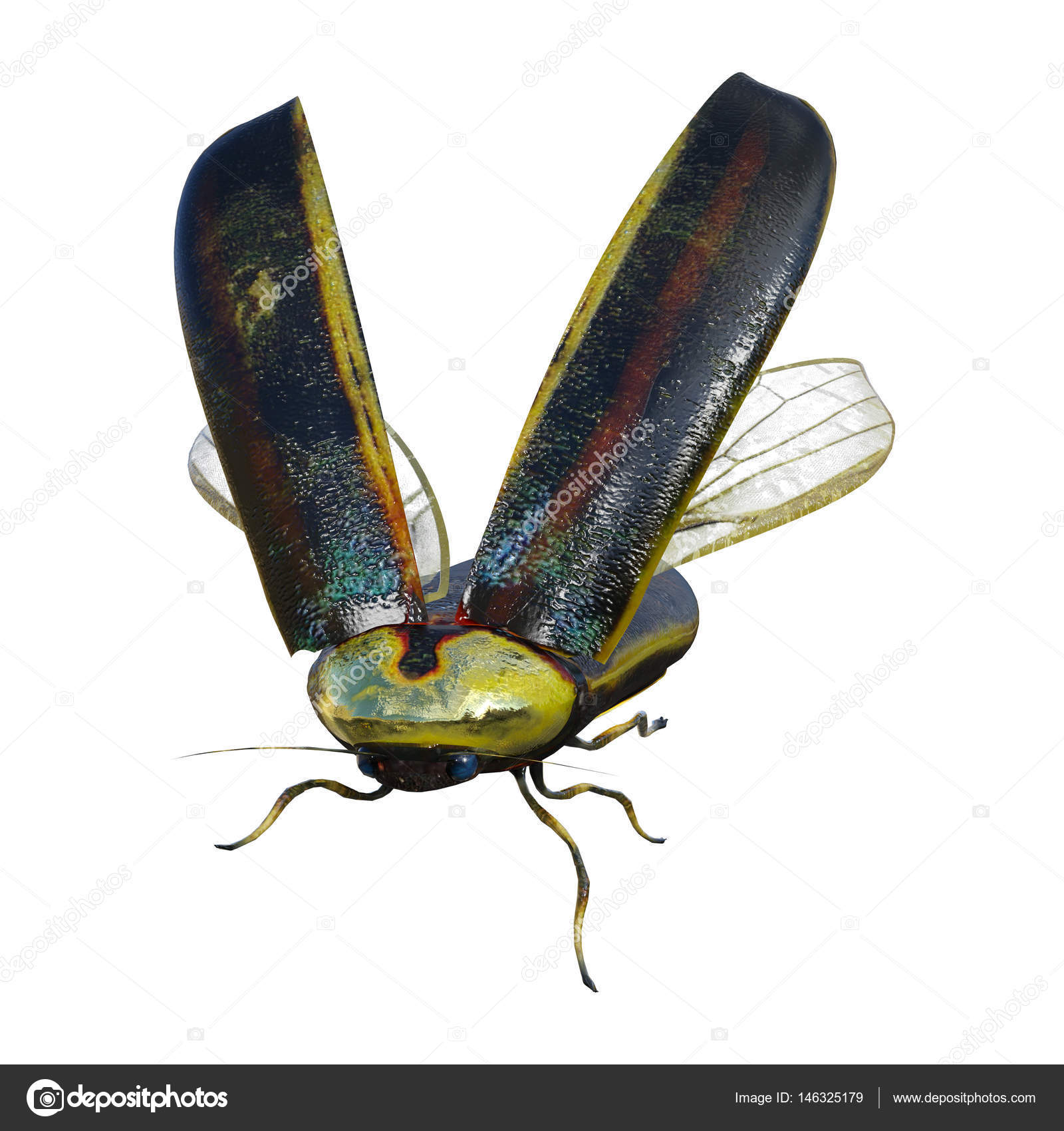 3D Rendering Lightning Bug on White — Stock Photo © PhotosVac #146325179