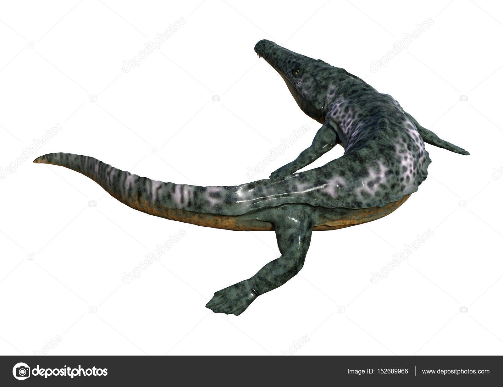 3D Rendering Archegosaurus on White Stock Photo by ©PhotosVac 152689966