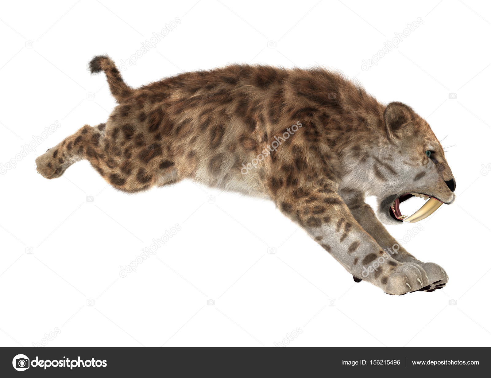 Tigre Dientes De Sable