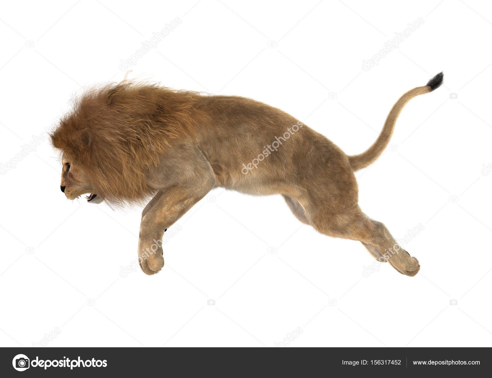 Male Lion Jumping