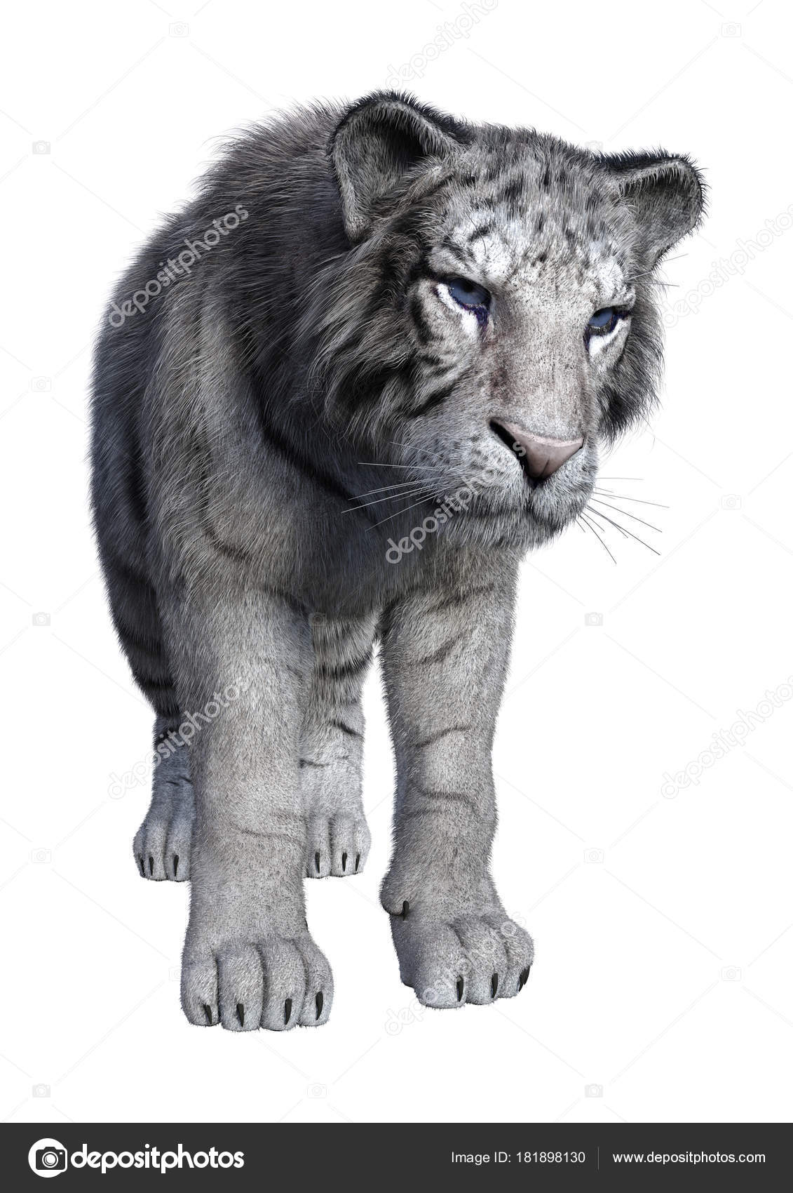 3D Rendering White Tiger on White Stock Photo by ©PhotosVac 181898130