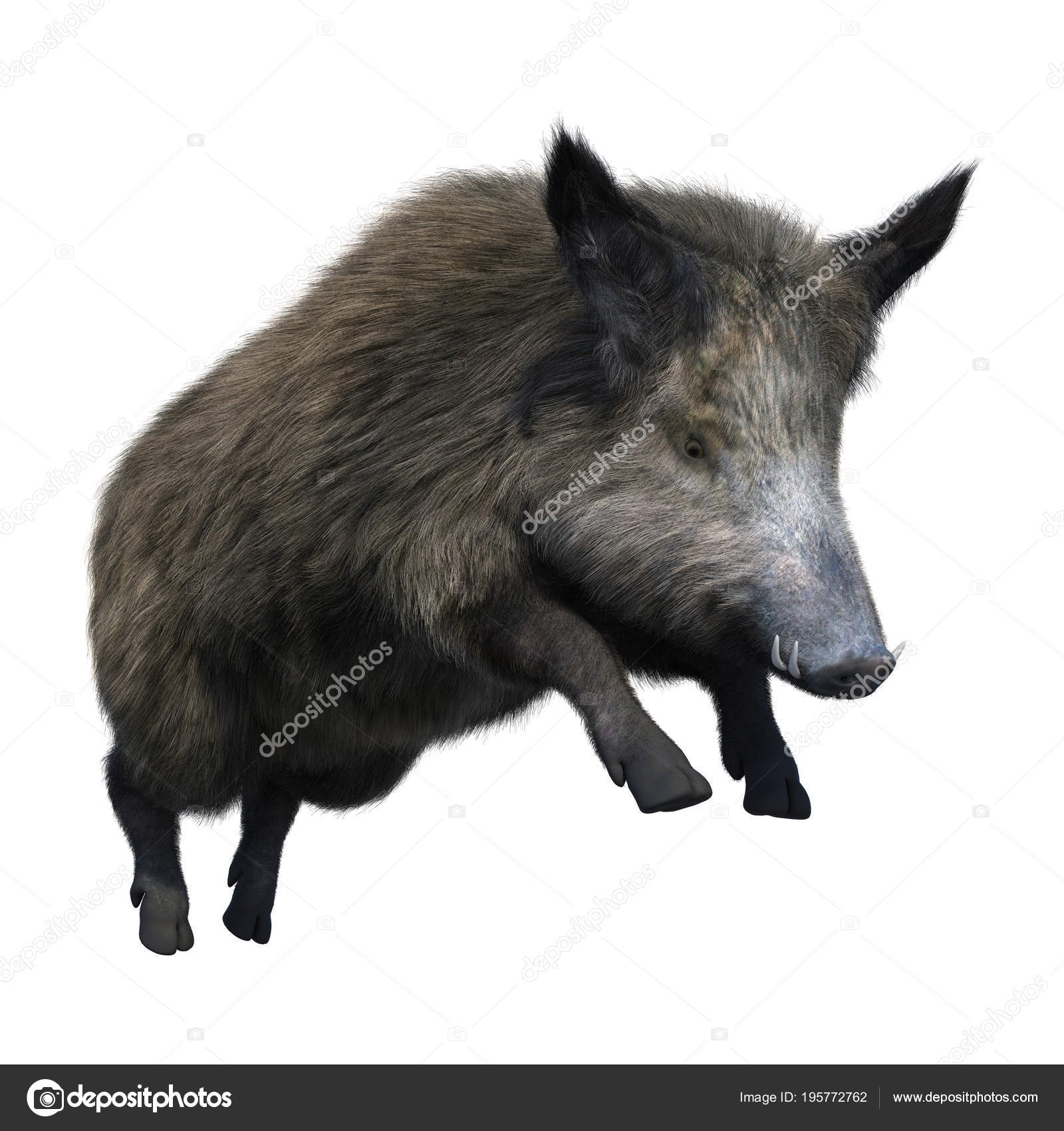 Rendering Wild Boar Isolated White Background — Stock Photo © PhotosVac ...