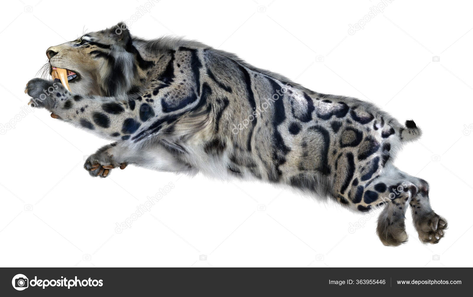 White Sabertooth Tiger Wallpaper