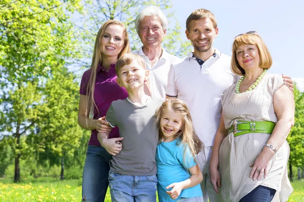 Extended family portrait Stock Photos, Royalty Free Extended family ...