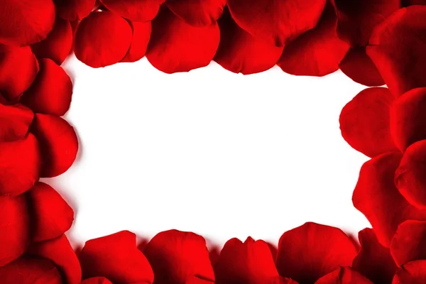 Red rose petals frame border, white copy space — Stock Photo © TONO ...
