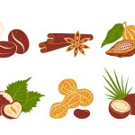 Coffee icons — Stock Vector © serazetdinov #4770283