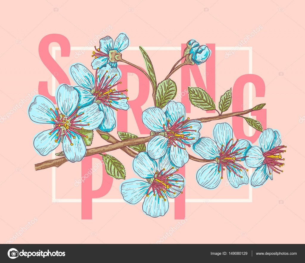 Spring and sakura Stock Vector Image by ©serazetdinov #149080129