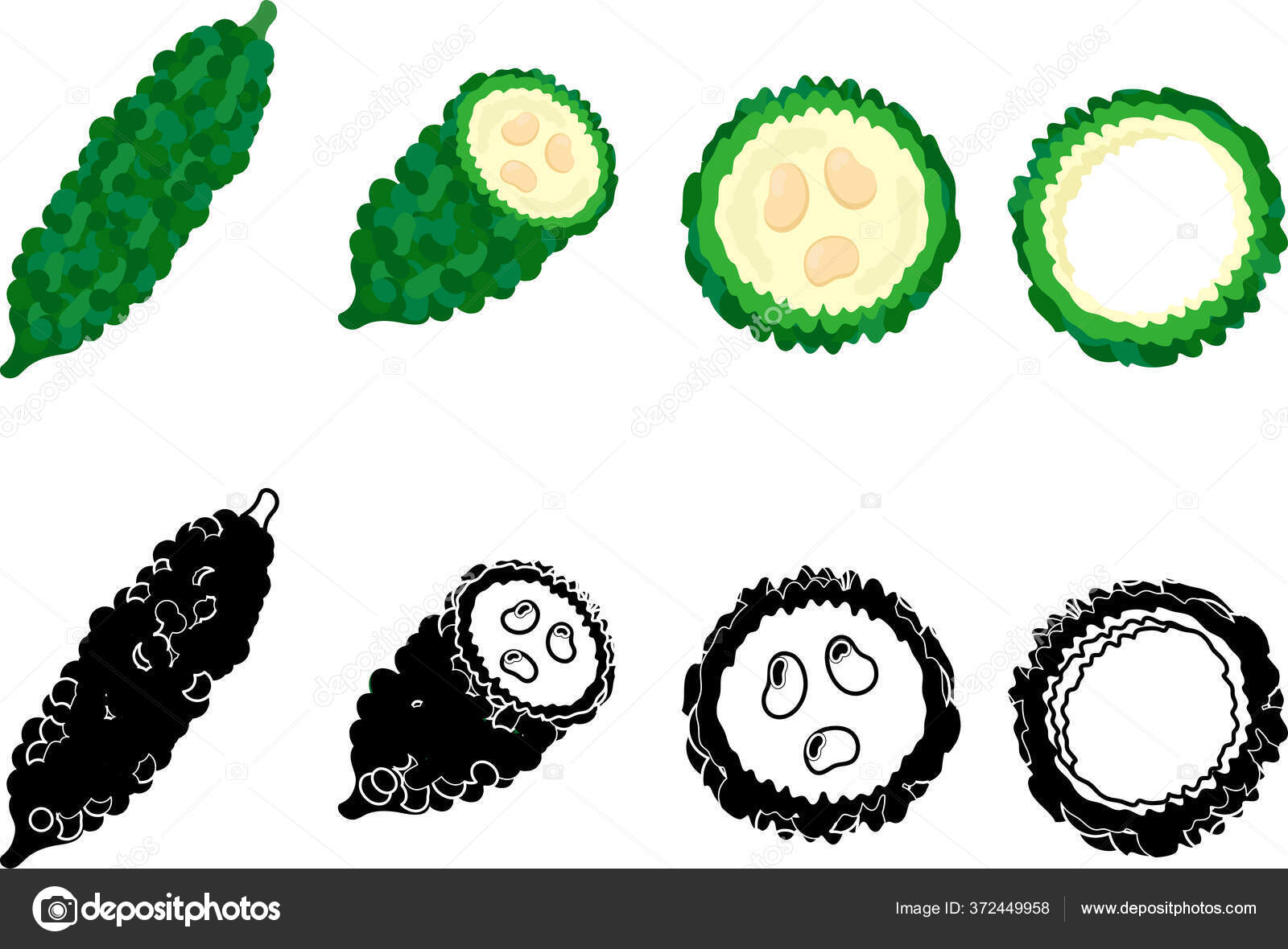 Cute Icons Bitter Gourd Stock Vector Image by ©chiharu-t #372449958