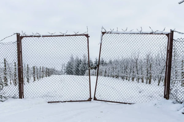 The russian border Stock Photos, Royalty Free The russian border Images ...