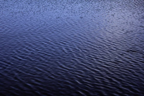 Free Ripples Images & Videos | Download on Depositphotos