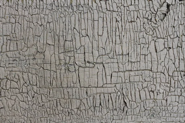 Paint Peel — Stock Photo © Nedilko #2965143