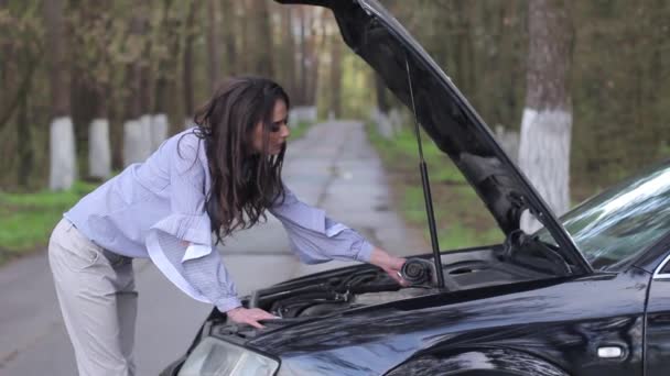 401 The engine compartment Stock Videos, 4K & HD Footage | Depositphotos