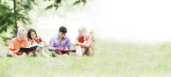group of students read books sitting on the lawn in the Park. in a blur ...