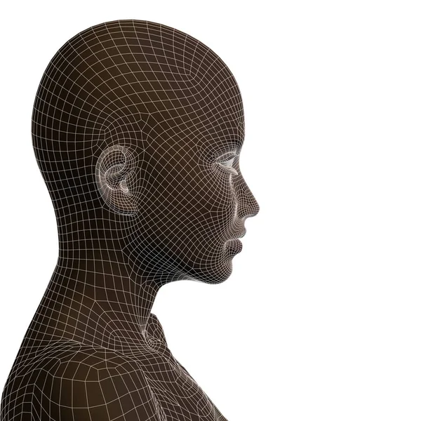 Human wireframe Stock Photos, Royalty Free Human wireframe Images ...