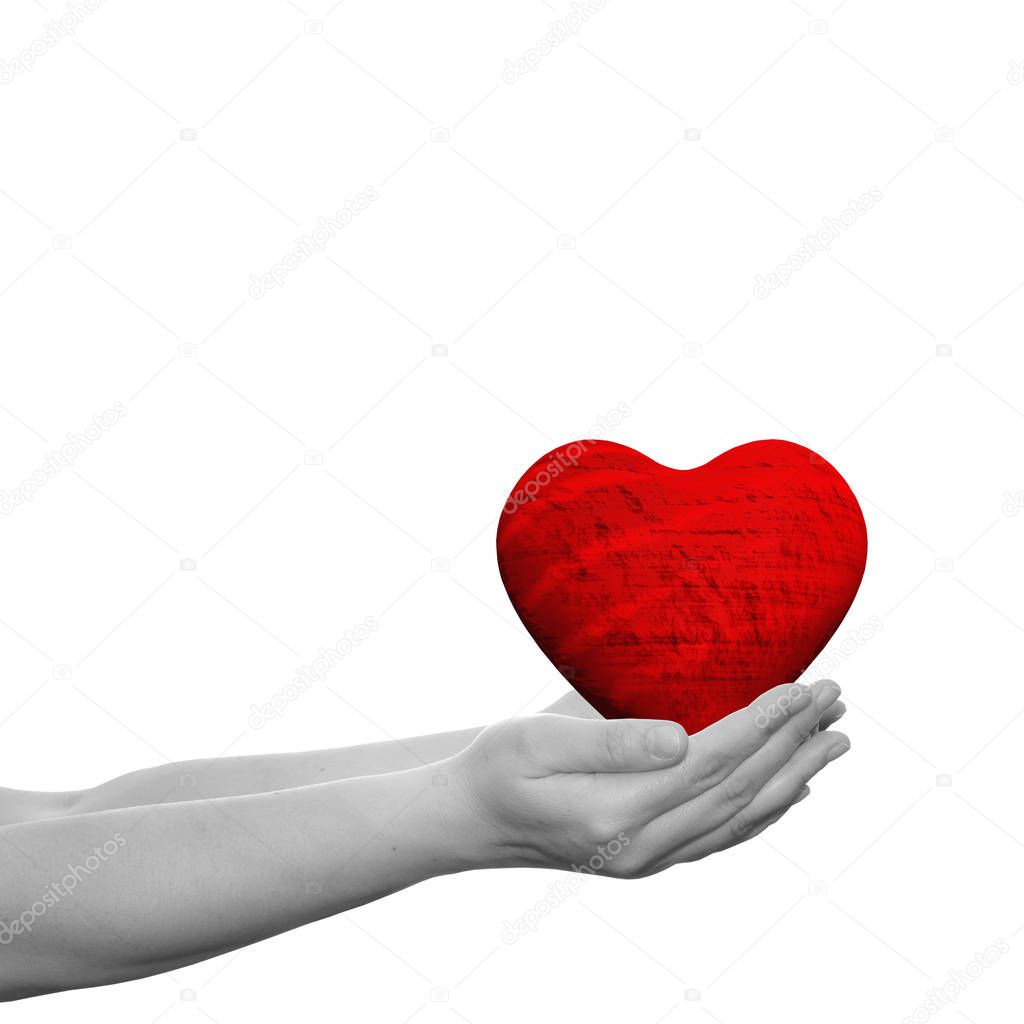 Heart held in hands — Stock Photo © design36 #129362370
