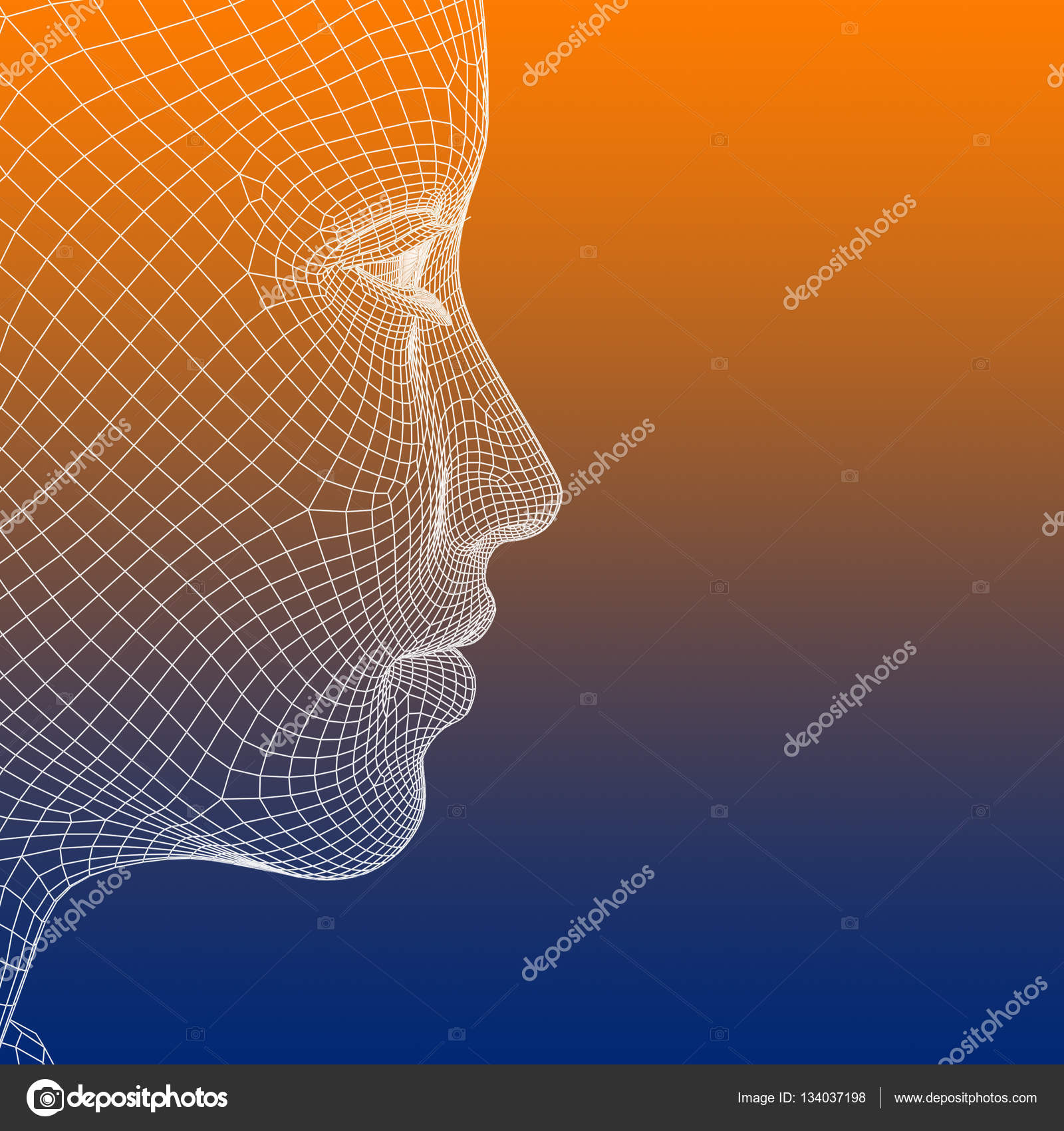 Wireframe woman face Stock Photo by ©design36 134037198