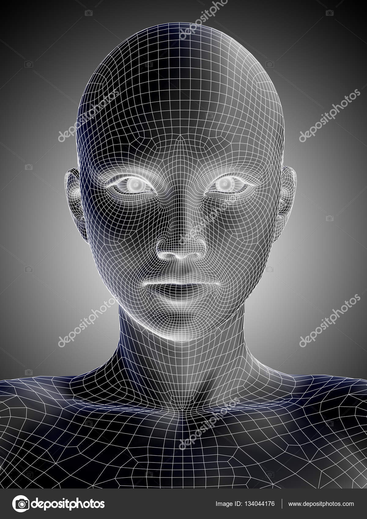 Wireframe Face