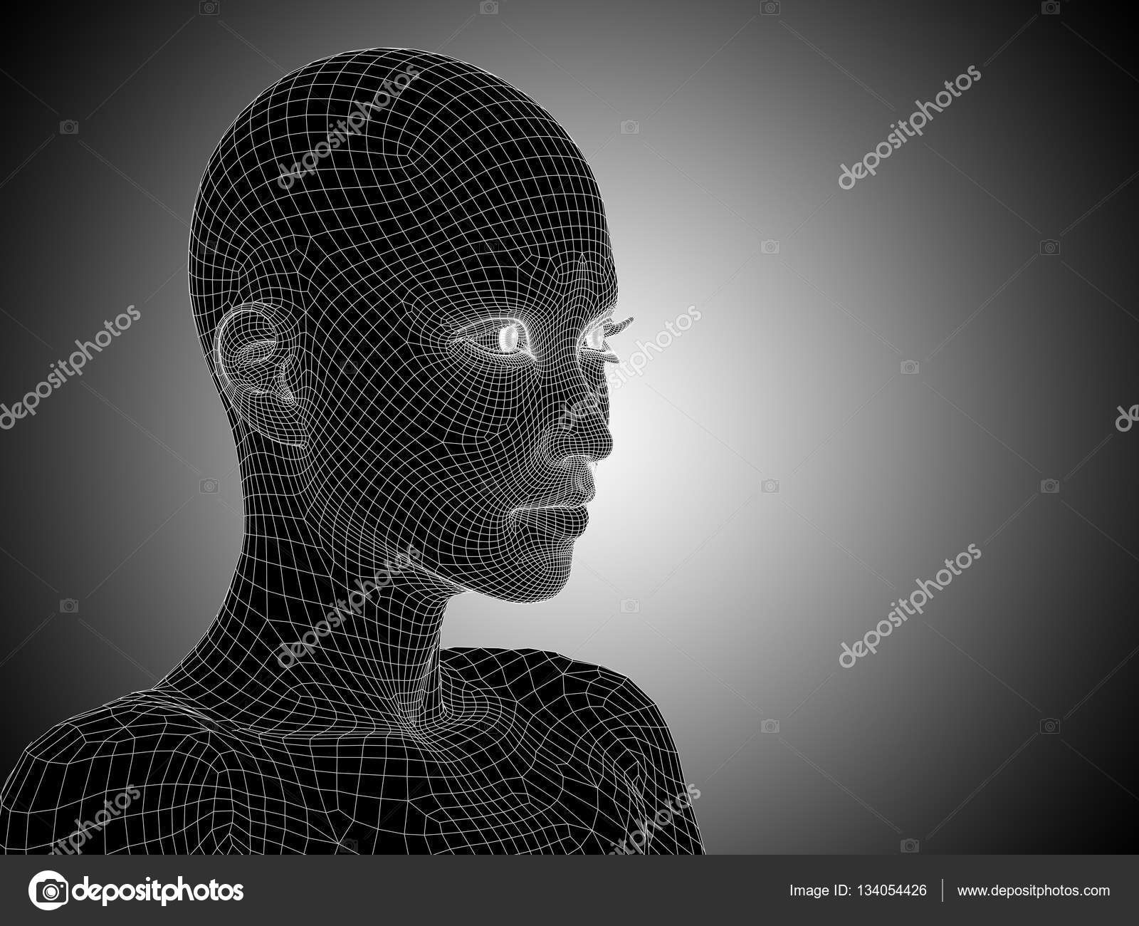 Female wireframe head Stock Photo by ©design36 134054426