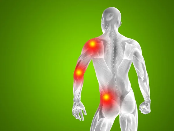 Female Human Upper Body Anatomy — Stock Photo © Chastity #9162280